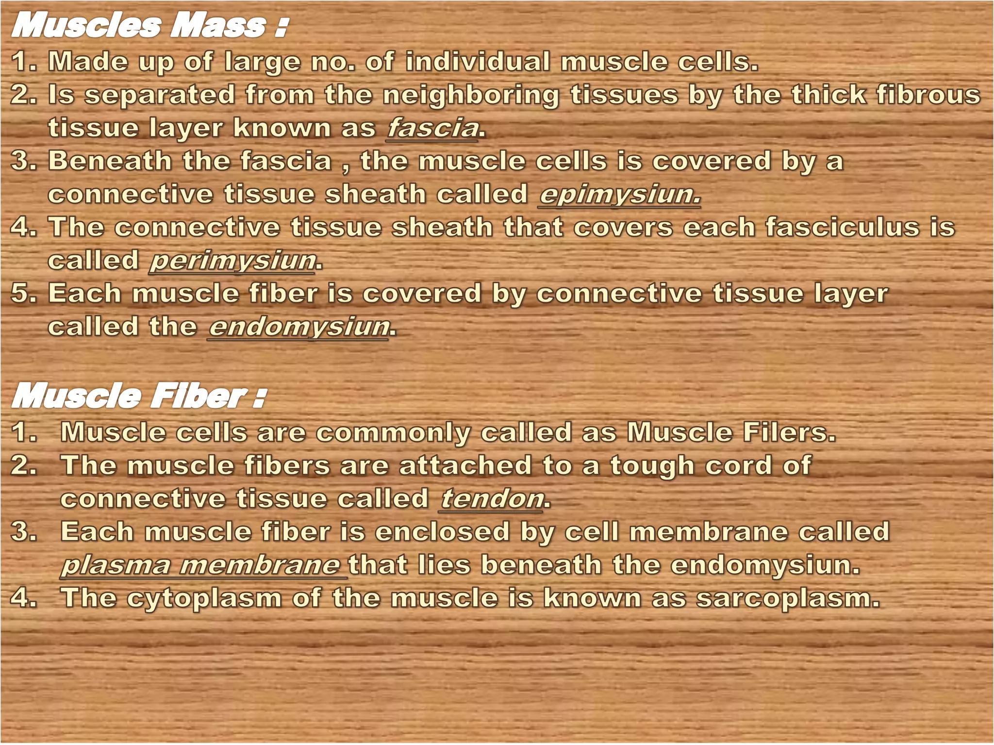 Classification of Muscles.pptx