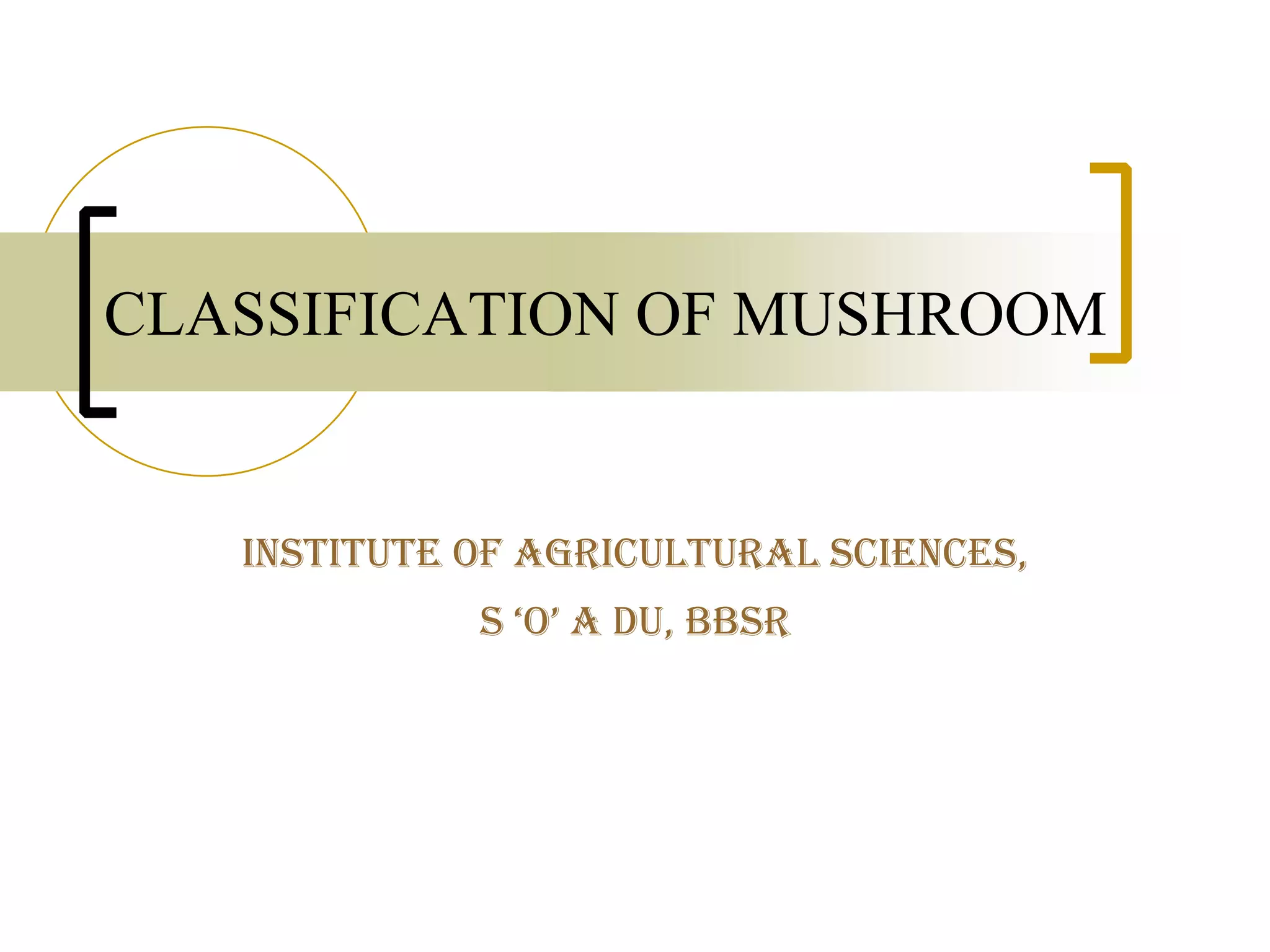 Classification of mushrooms | PDF