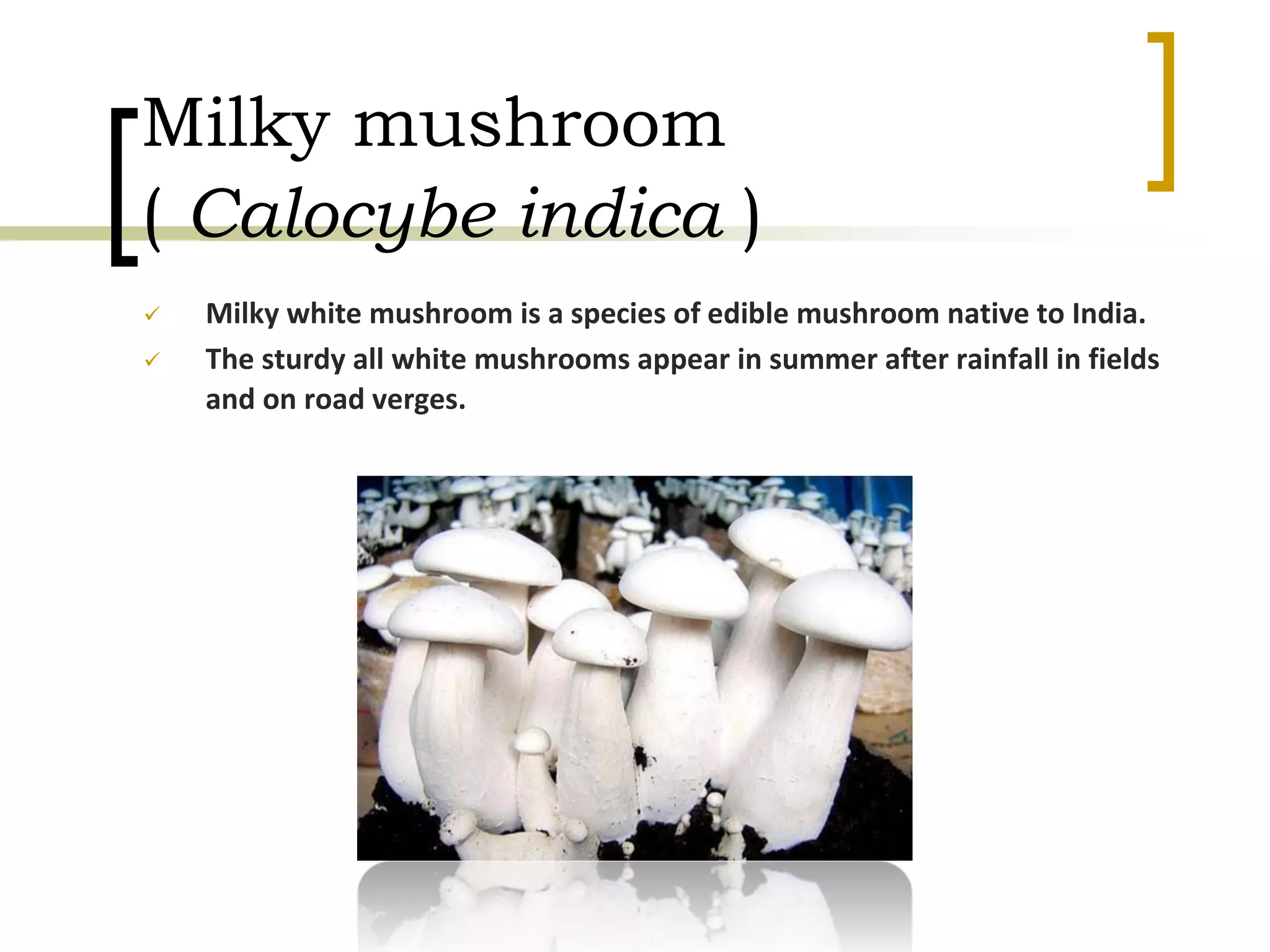 Classification of mushrooms | PDF