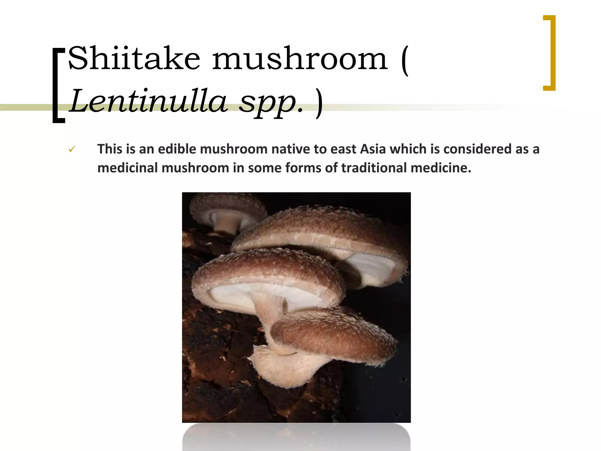 Classification of mushrooms | PDF | Biological Sciences | Science