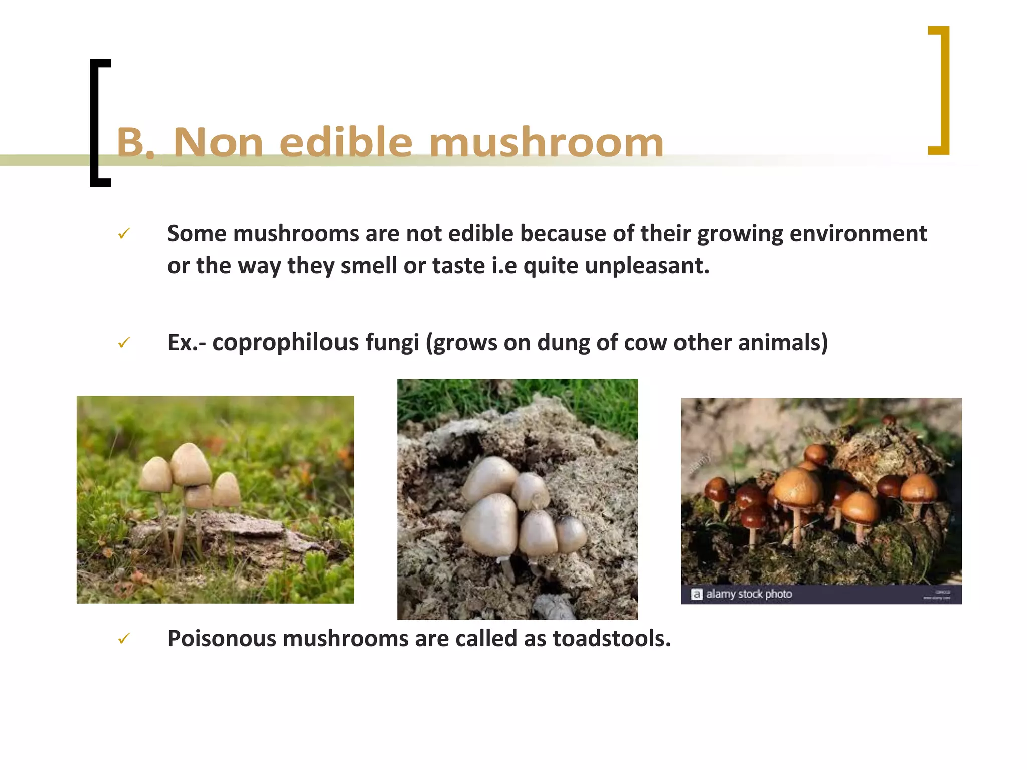 Classification of mushrooms | PDF