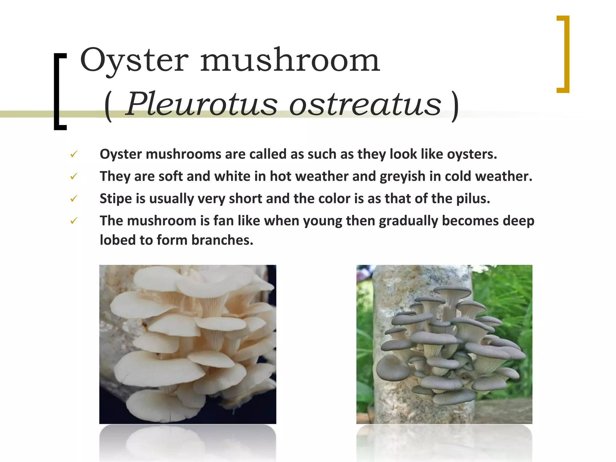 Classification of mushrooms | PDF