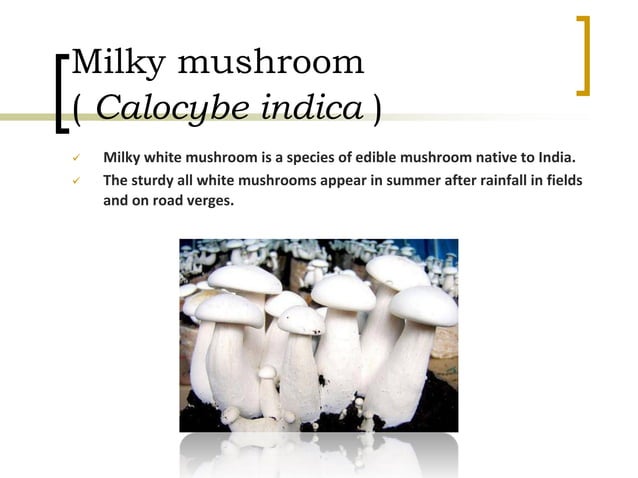 Classification of mushrooms | PDF | Biological Sciences | Science