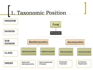 Classification of mushrooms | PDF