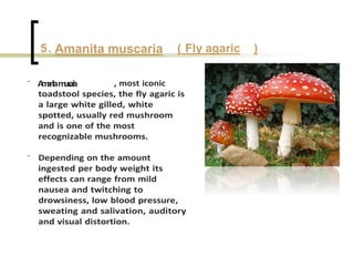 Classification of mushrooms