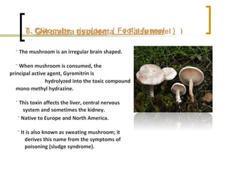 Classification of mushrooms
