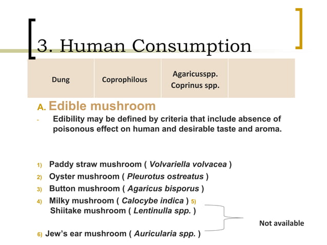 Classification of mushrooms