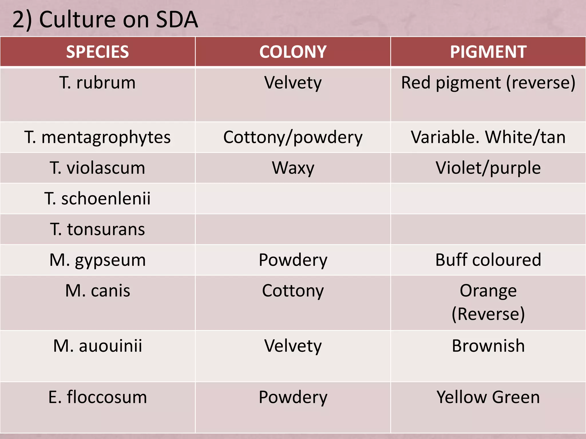 Classification of Mycoses by Dr. Rakesh Prasad Sah | PPTX