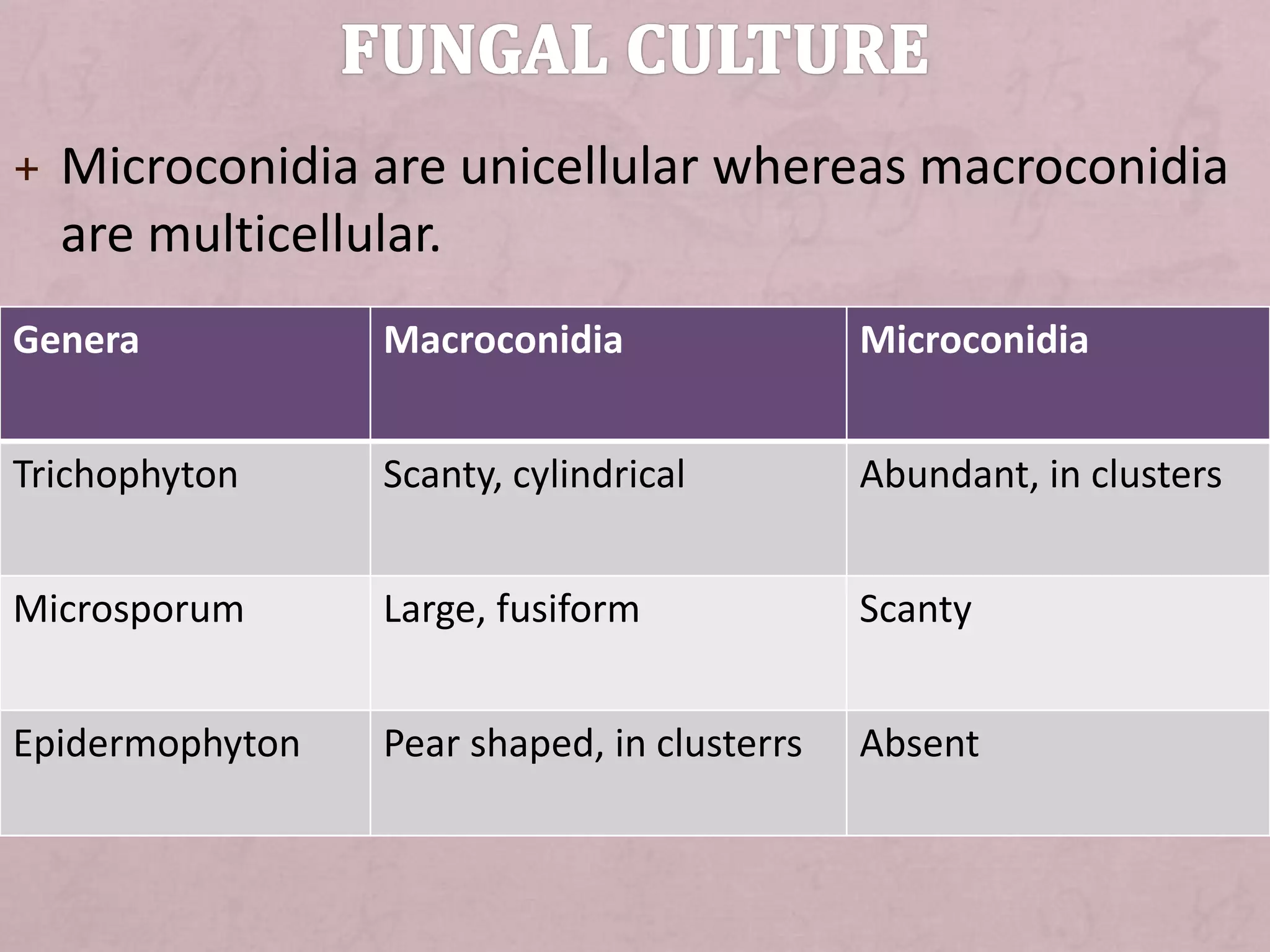 Classification of Mycoses by Dr. Rakesh Prasad Sah | PPTX