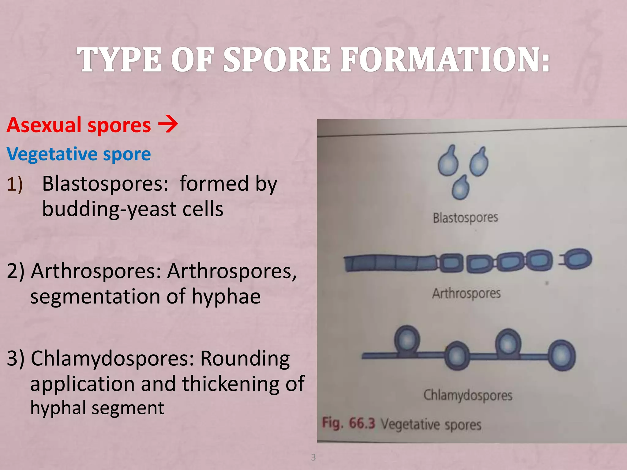 Classification of Mycoses by Dr. Rakesh Prasad Sah | PPTX