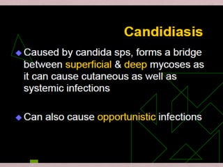 Classification of Mycoses by Dr. Rakesh Prasad Sah | PPTX