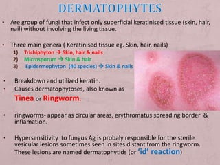 Classification of Mycoses by Dr. Rakesh Prasad Sah | PPTX