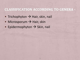 Classification of Mycoses by Dr. Rakesh Prasad Sah | PPTX