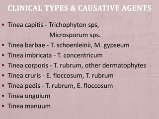 Classification of Mycoses by Dr. Rakesh Prasad Sah | PPTX