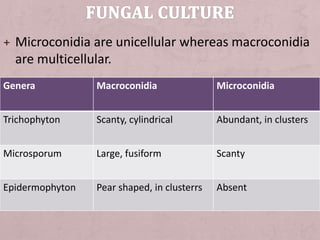 Classification of Mycoses by Dr. Rakesh Prasad Sah | PPTX