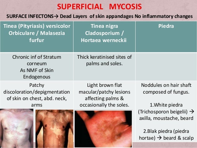 Classification of Mycoses by Dr. Rakesh Prasad Sah