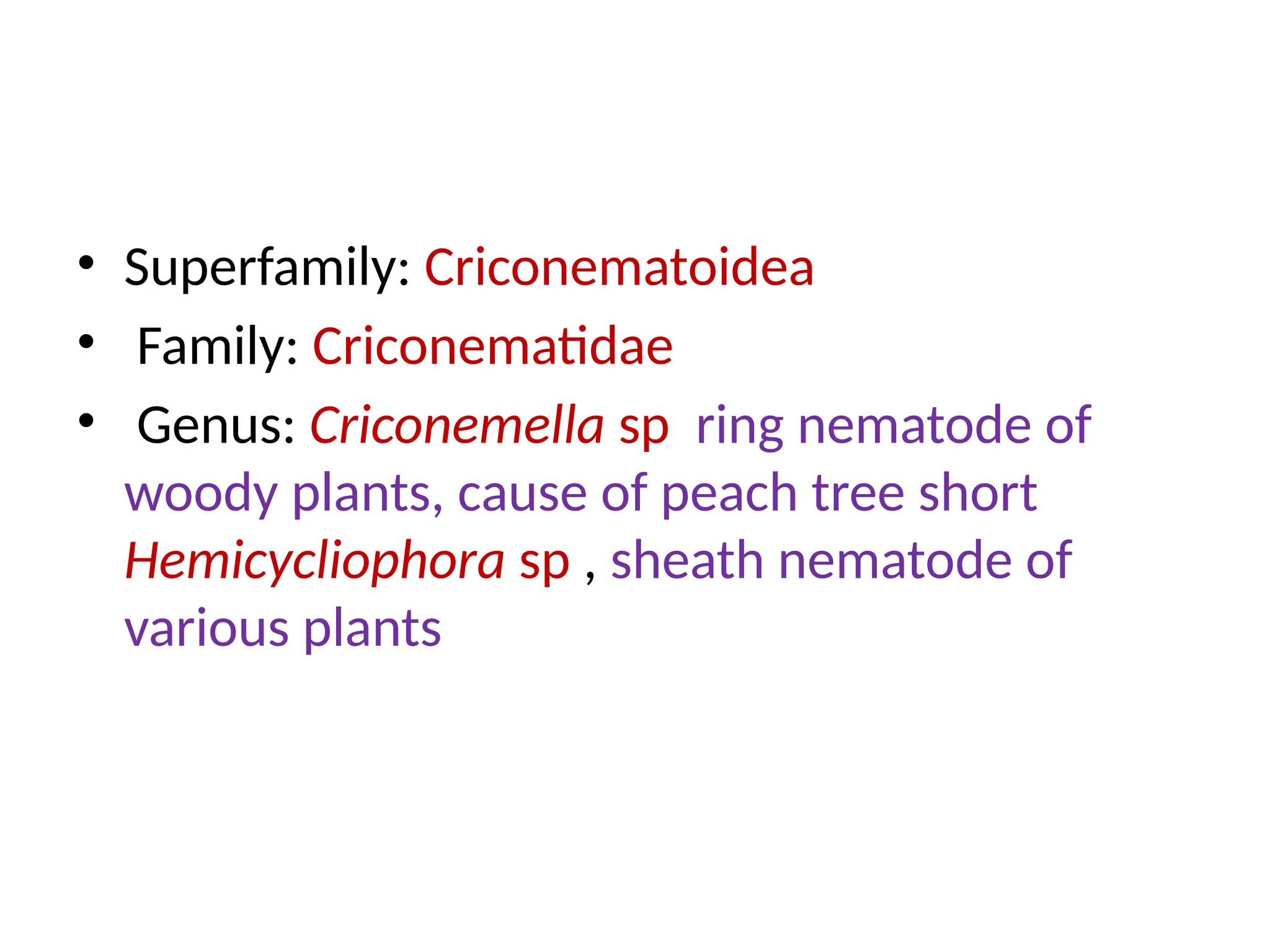 'classification of nematodes' varous classes | PPTX