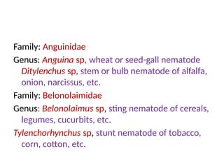 'classification of nematodes' varous classes | PPTX