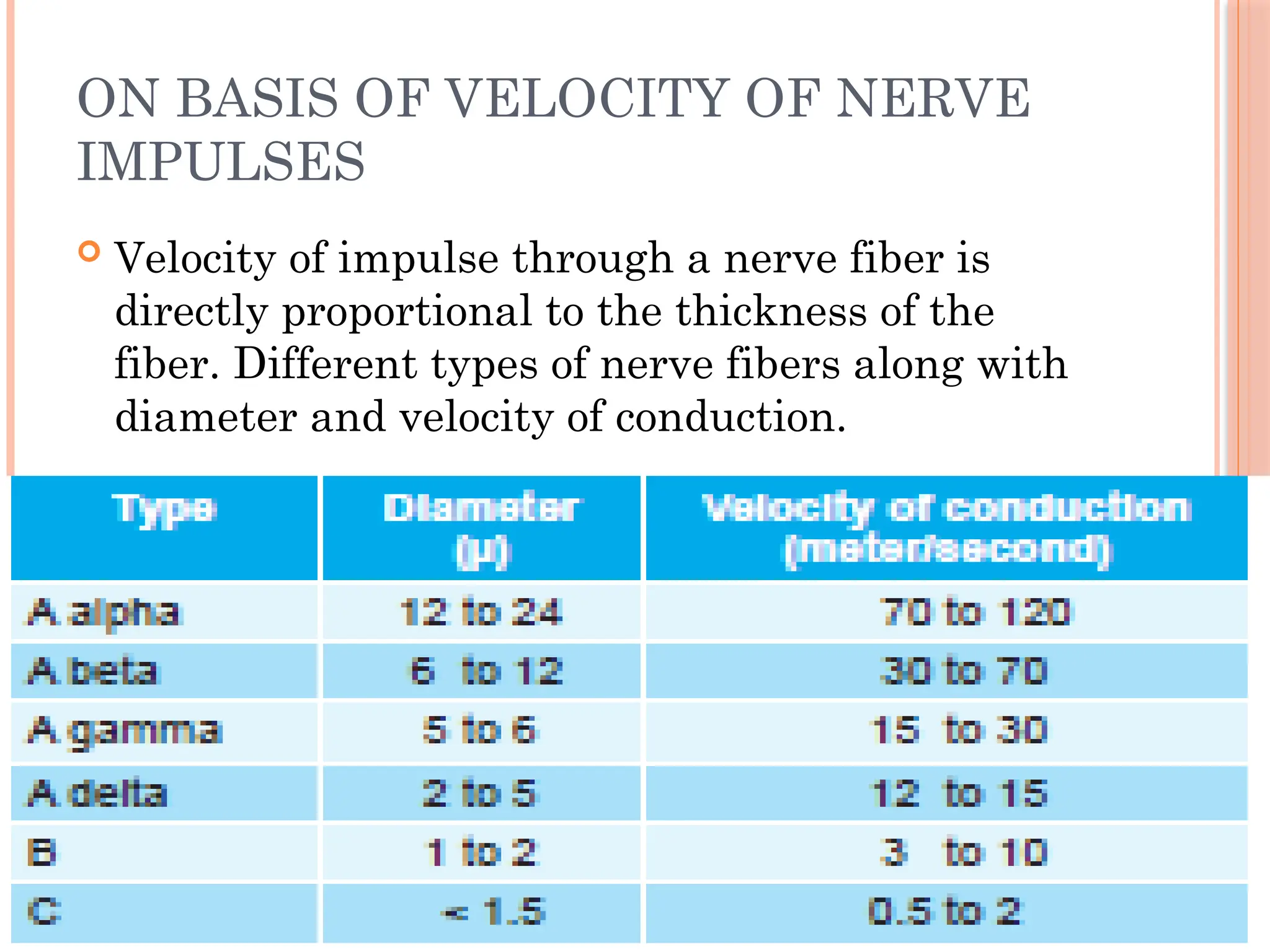 Classification of Nerve fiber, in physiotherapy | PPTX