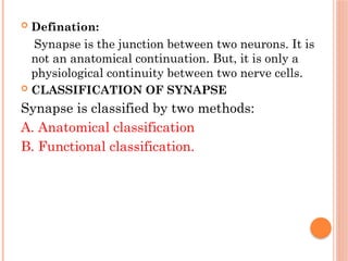 Classification of Nerve fiber, in physiotherapy | PPTX