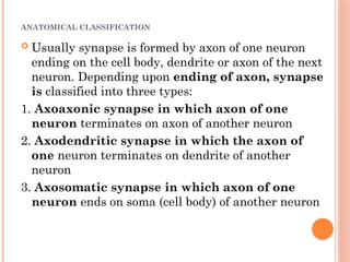 Classification of Nerve fiber, in physiotherapy | PPTX