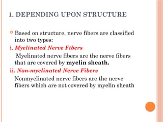 Classification of Nerve fiber, in physiotherapy | PPTX