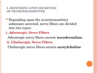 Classification of Nerve fiber, in physiotherapy | PPTX