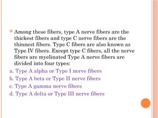 Classification of Nerve fiber, in physiotherapy | PPTX