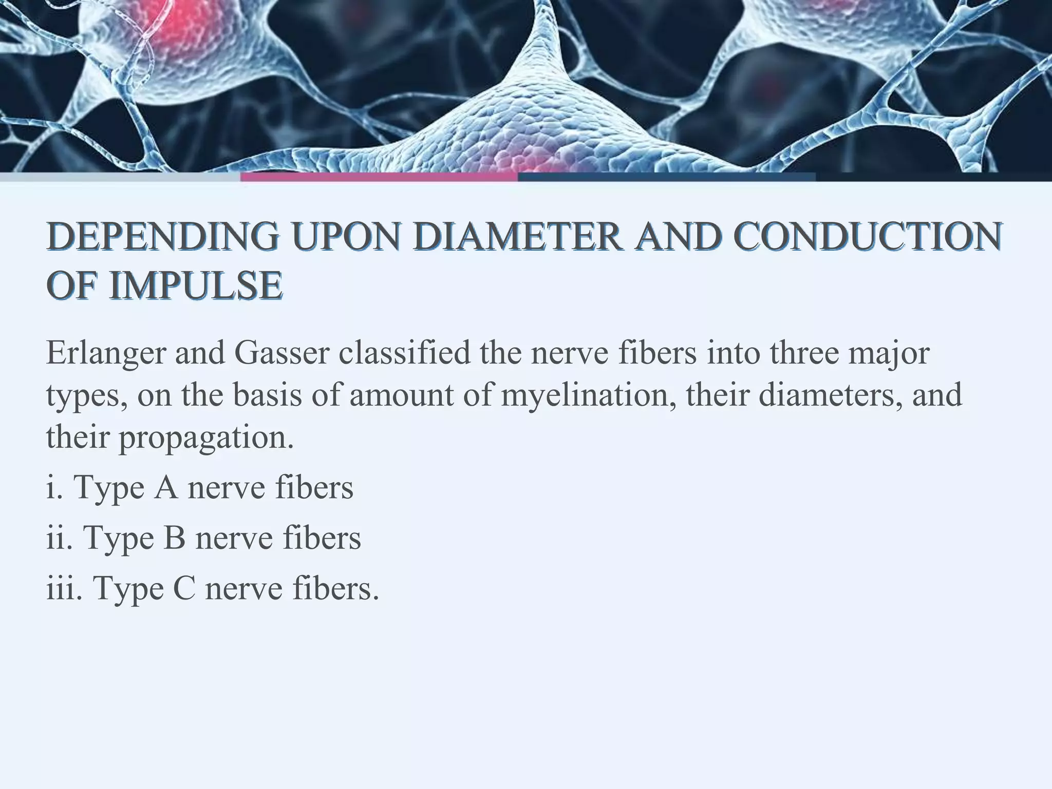 Classification of nerve fibres | PPTX