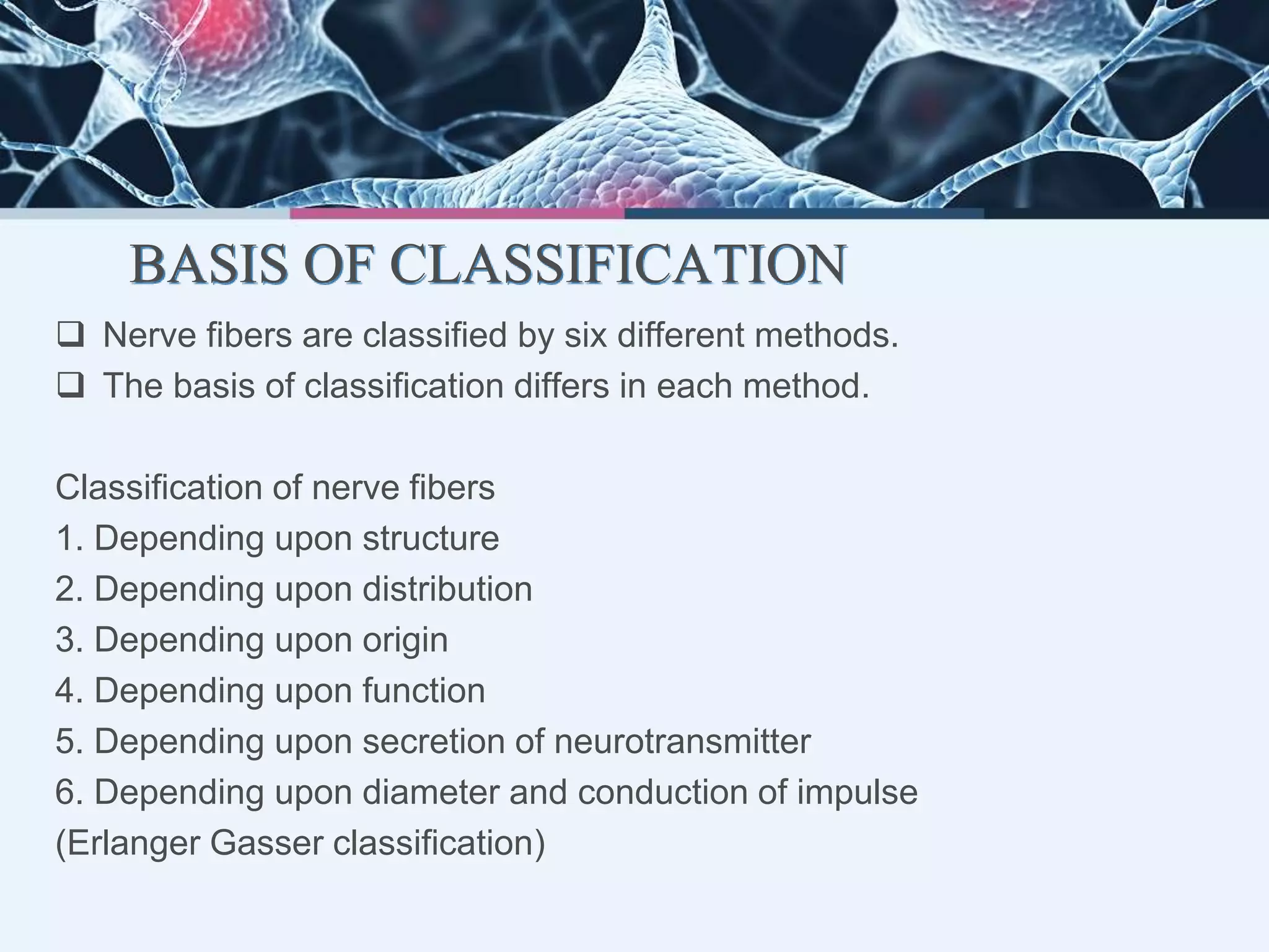 Classification of nerve fibres | PPTX
