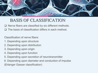 Classification of nerve fibres | PPTX