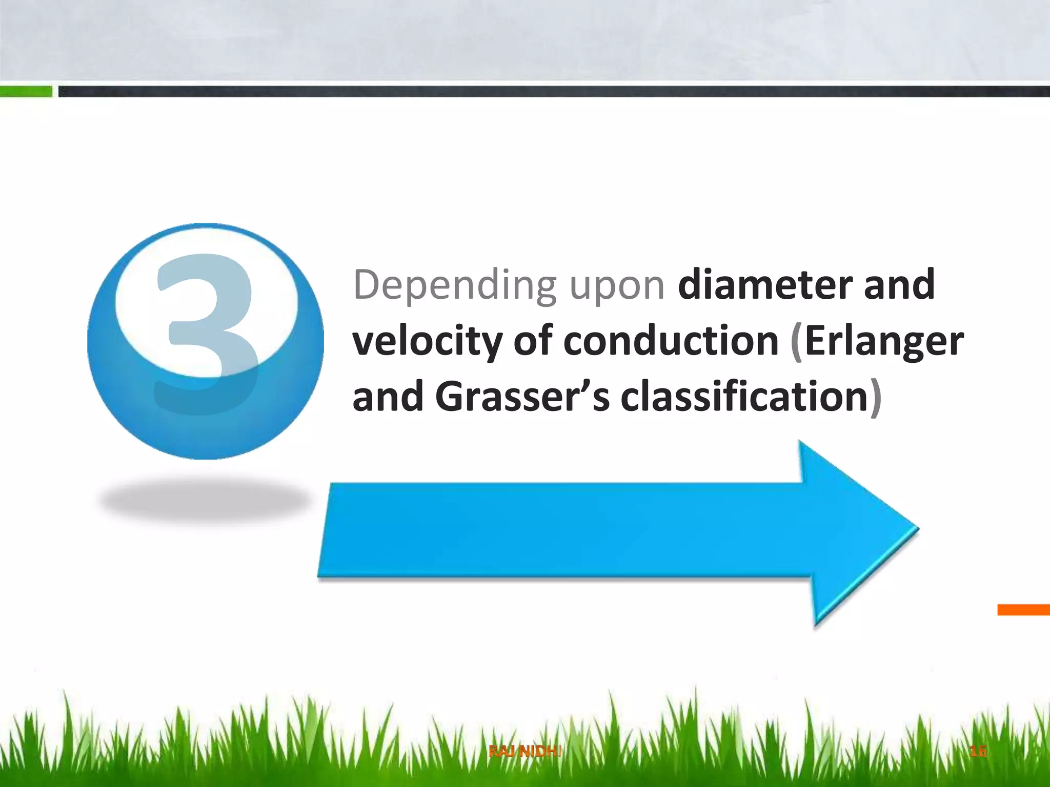 CLASSIFICATION OF NERVE FIBRES.pptx
