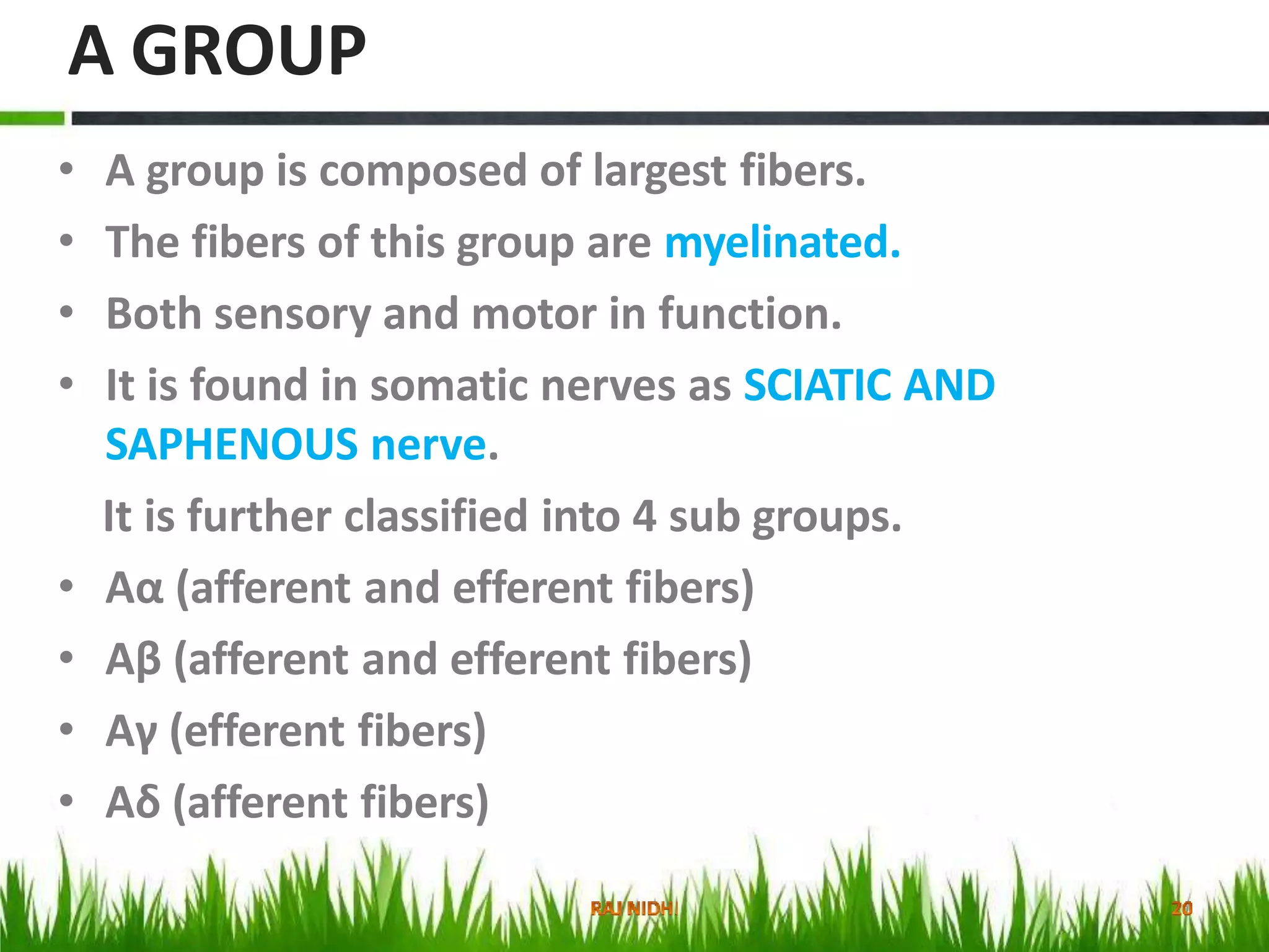CLASSIFICATION OF NERVE FIBRES.pptx