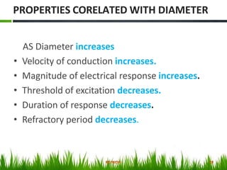 CLASSIFICATION OF NERVE FIBRES.pptx