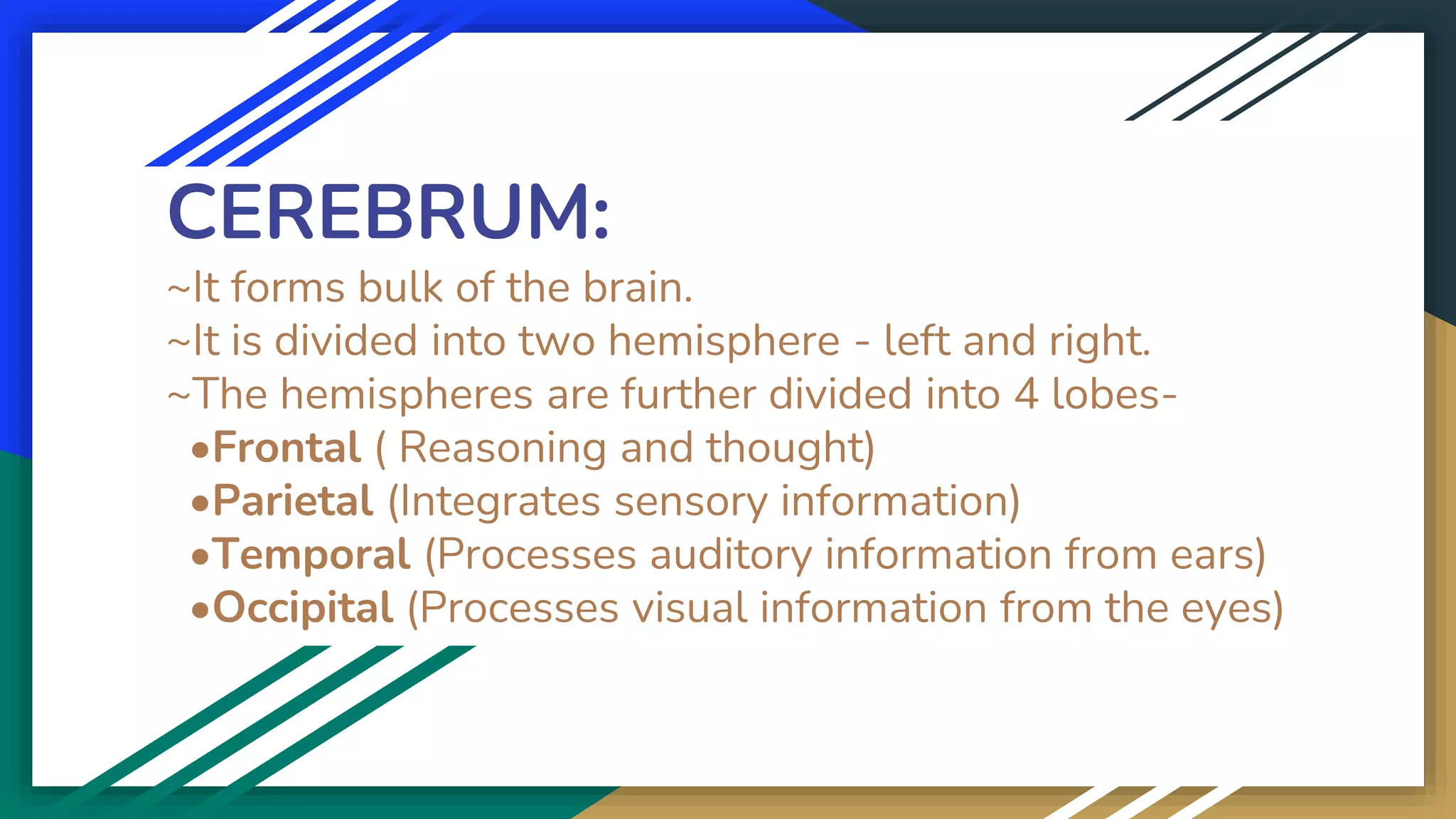 Classification of Nervous System | PPTX