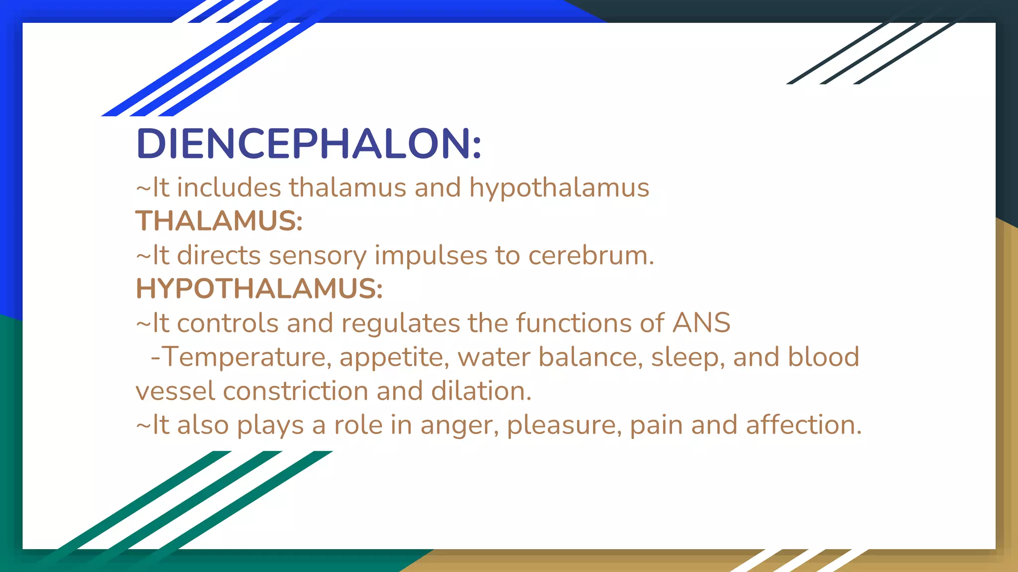 Classification of Nervous System | PPTX