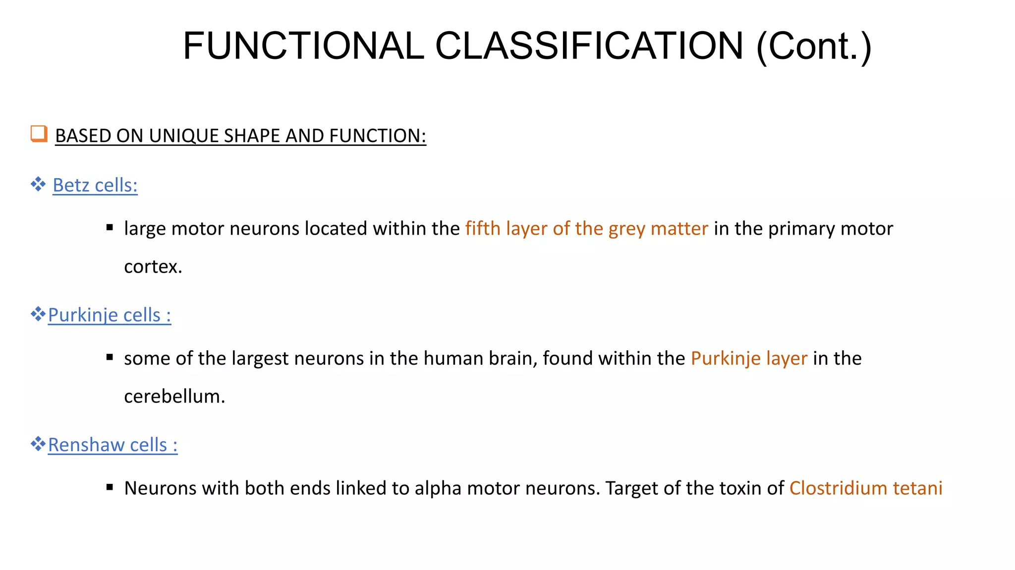 Classification of nervous system | PDF