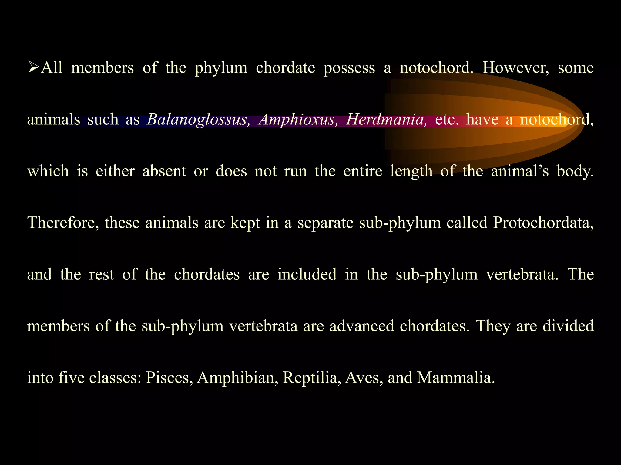 Classification of non chordata | PPTX