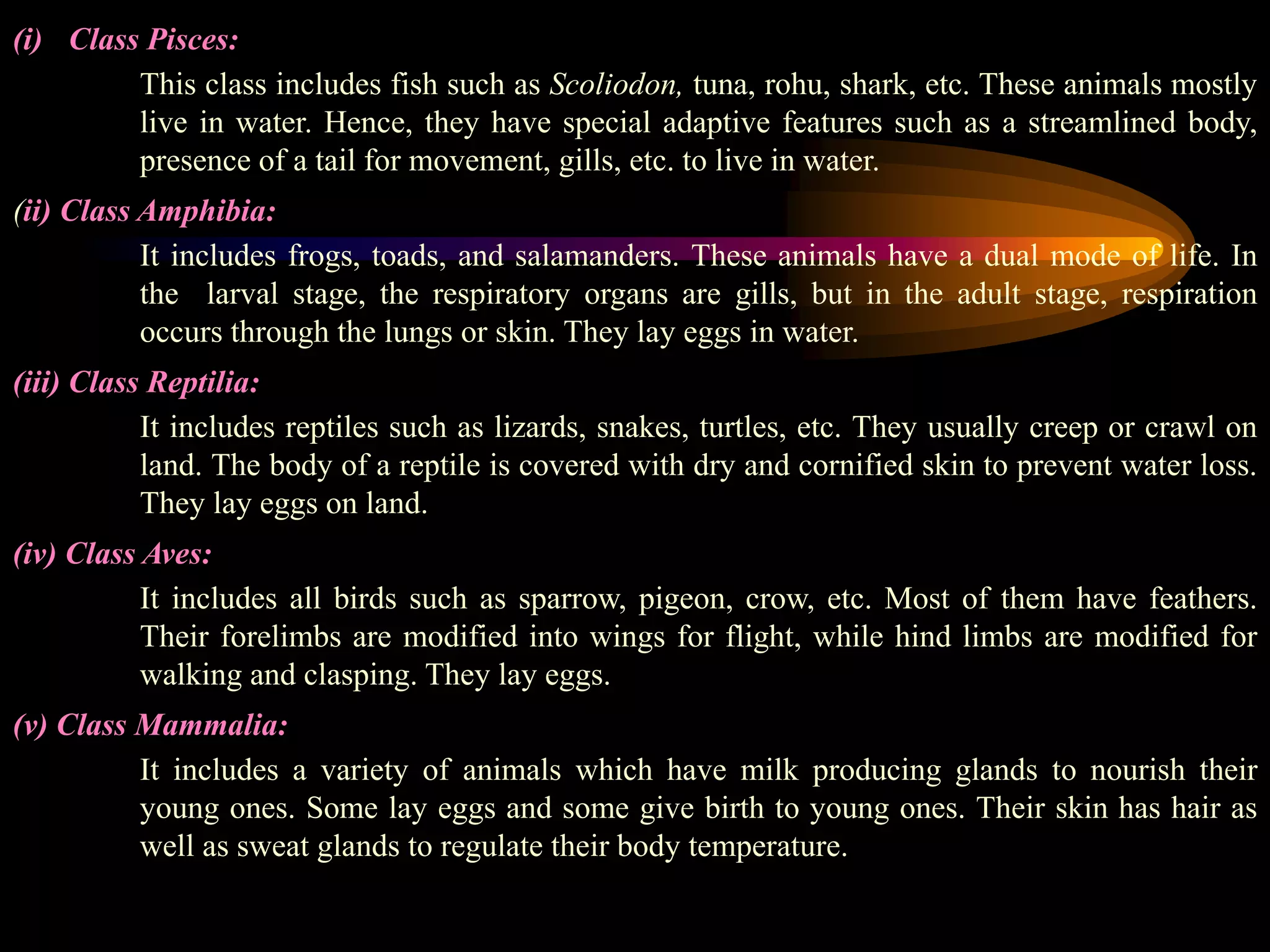 Classification of non chordata | PPTX