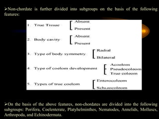 Classification of non chordata (invetebrate) | PPTX