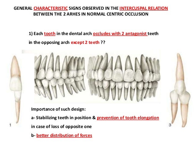 Classification of Occlusion and Malocclusion Dr. Nabil Al-Zubair