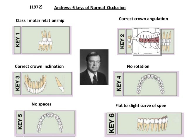 Classification of Occlusion and Malocclusion Dr. Nabil Al-Zubair