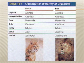 Grade 7 - Classification of Organism | PPT
