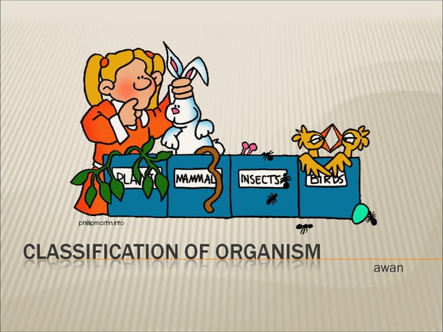 Grade 7 - Classification of Organism | PPT