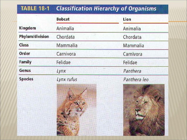 Grade 7 - Classification of Organism | PPT