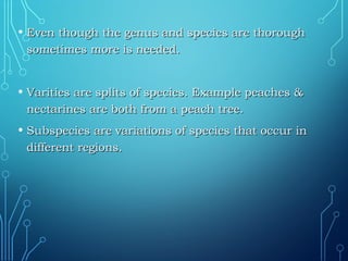 Classification of organism grade 8 science.ppt