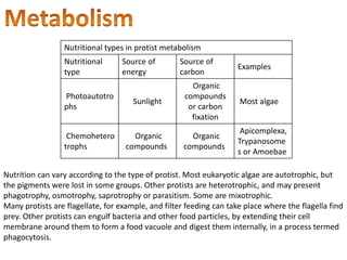 Classification of organisms | PPTX