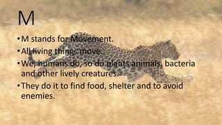 Living and non-living things | PPTX