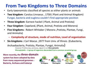 Classification of organisms | PPTX