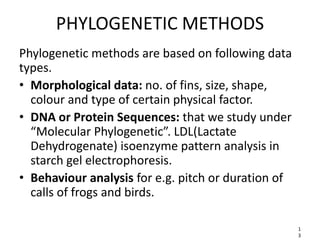 Classification of organisms | PPT